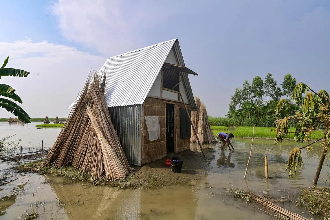 Bangladesh’s ‘tiny houses’ tackle giant flood challenge | The Straits Times