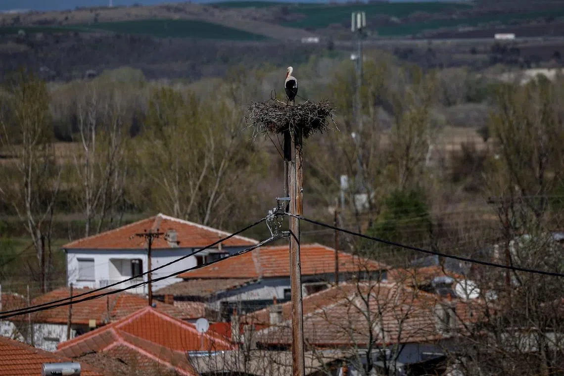 The losing battle against Greece's tumbling birthrate | The Straits Times