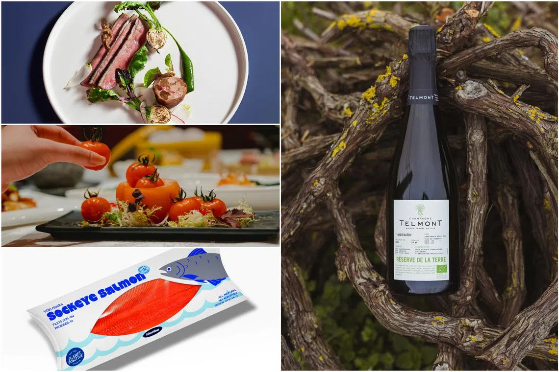 Eat your greens: Where to get eco-friendly meals, sustainable seafood ...