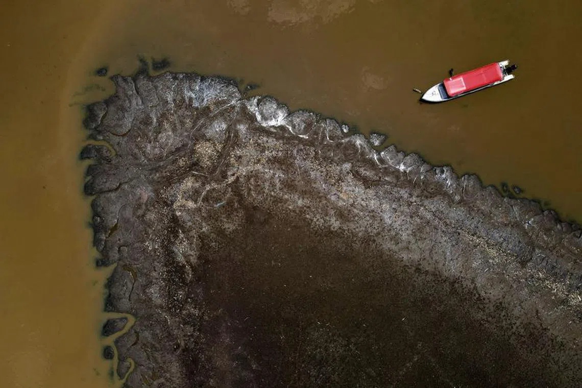 Brazil sets up task force for unprecedented drought in Amazon -minister ...