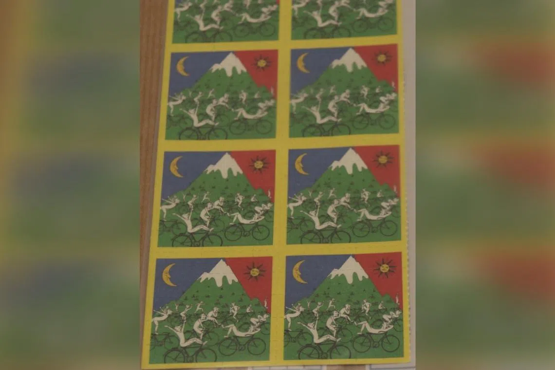 Two brothers, aged 17 and 25, arrested for suspected drug activities ...