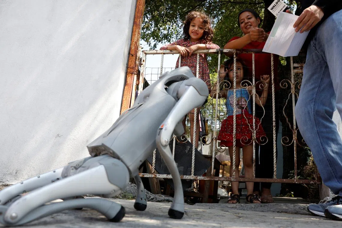 Robot dog in Mexico teaches animal kindness on the streets | The ...