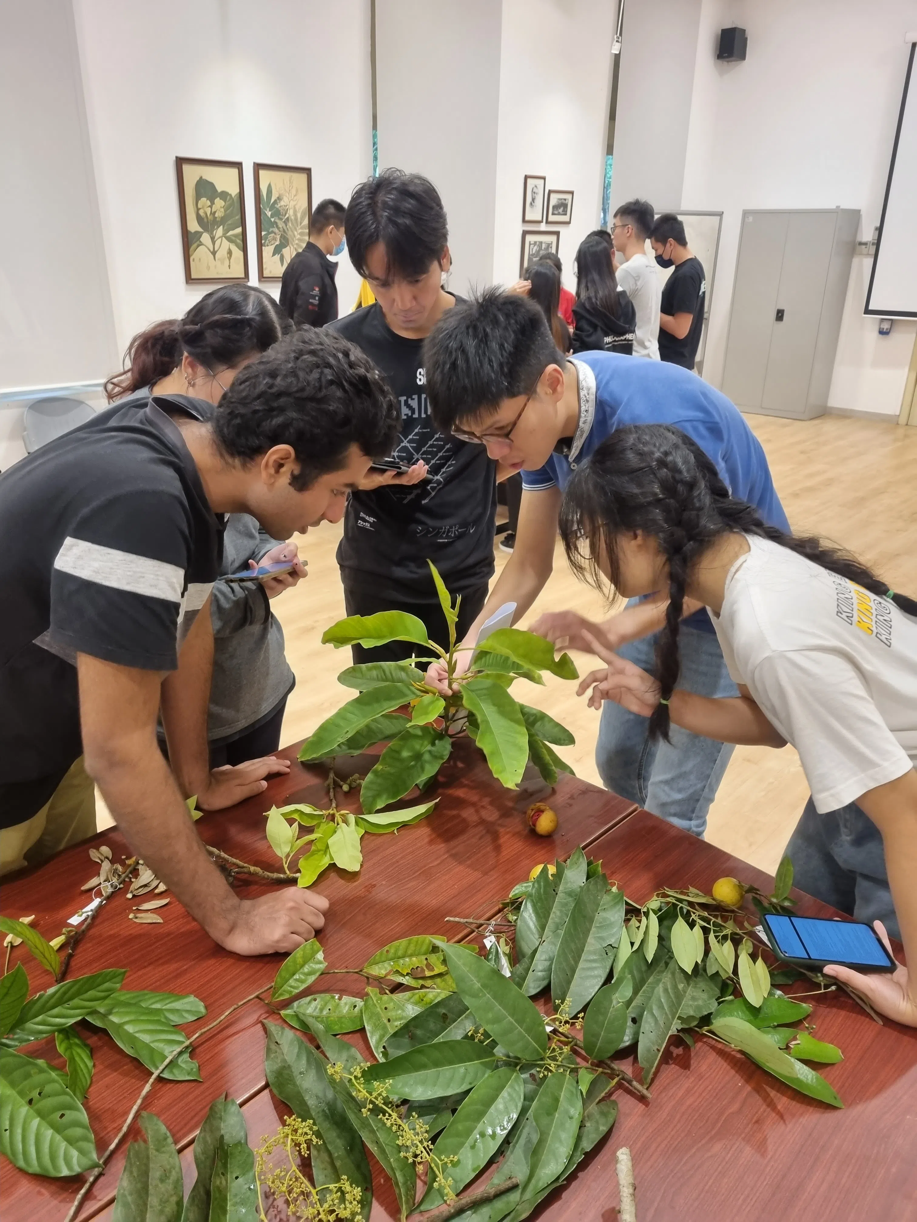 New NUS botany programme aims to increase number of plant experts here ...