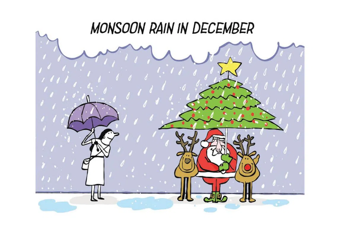 A Cartoonist’s View: Francisco, Dec 24, 2024 | The Straits Times