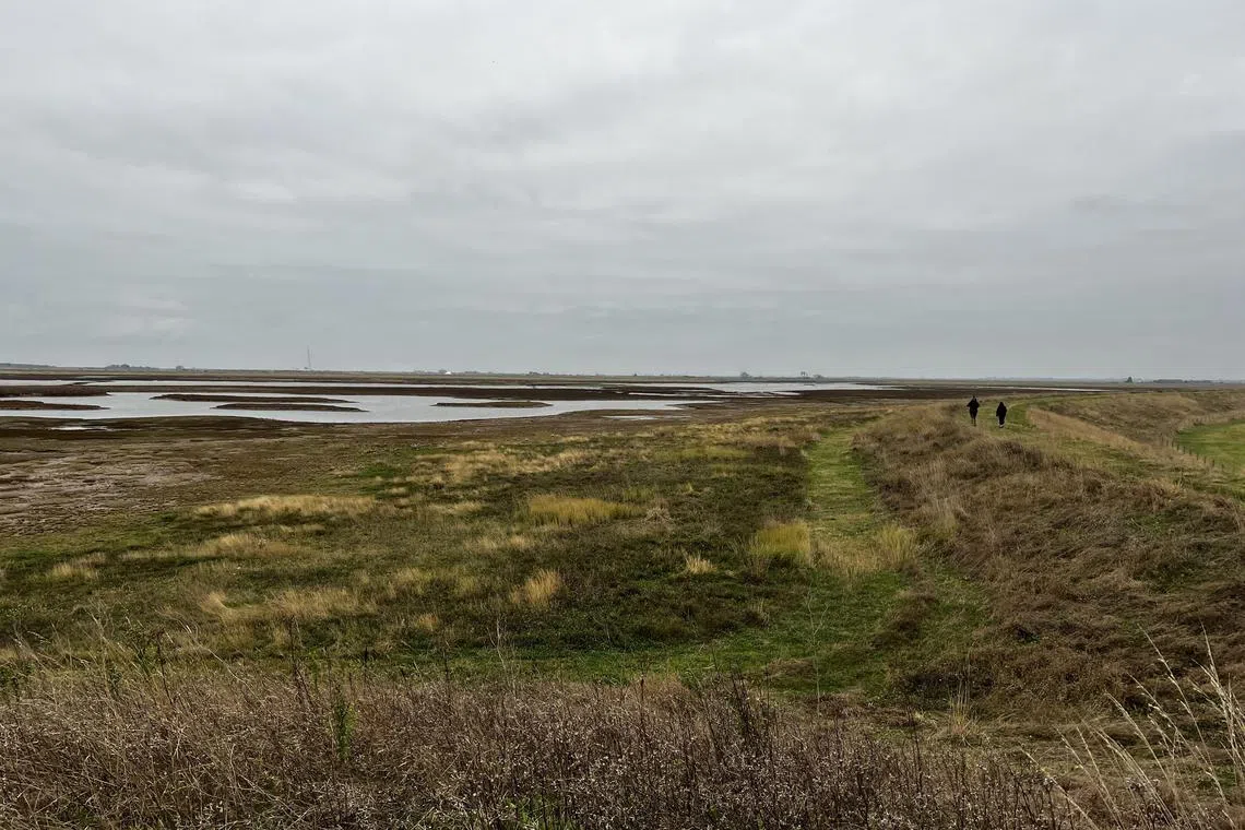 Britain sets out new legally binding environmental targets | The ...