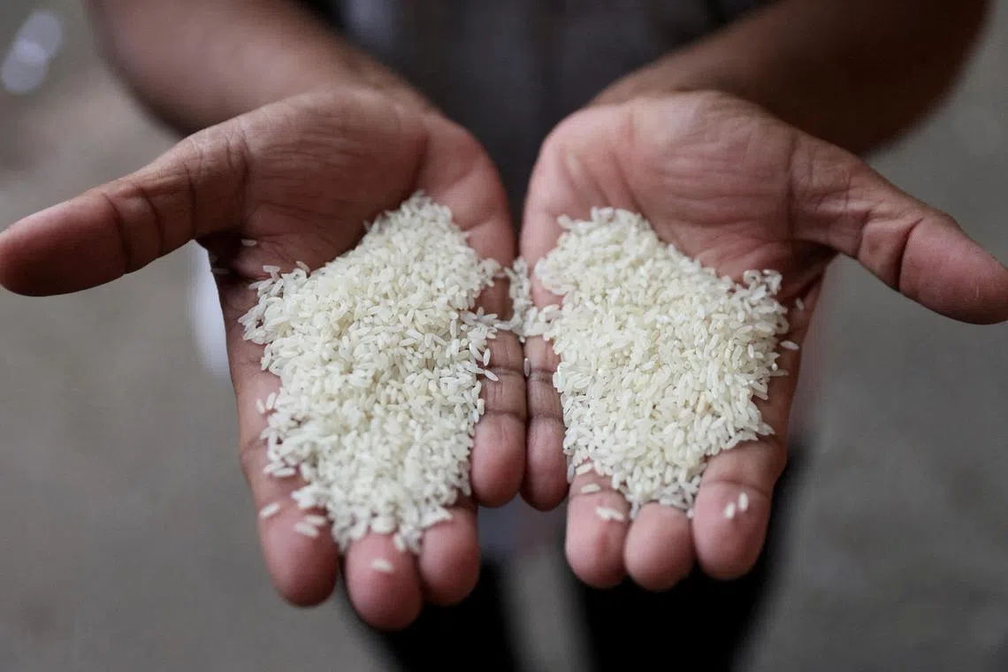 India removes floor price for basmati rice exports to claw back global share | The Straits Times