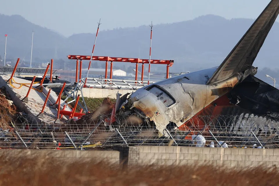 Bird strikes: How pilots and airports around the world handle them ...