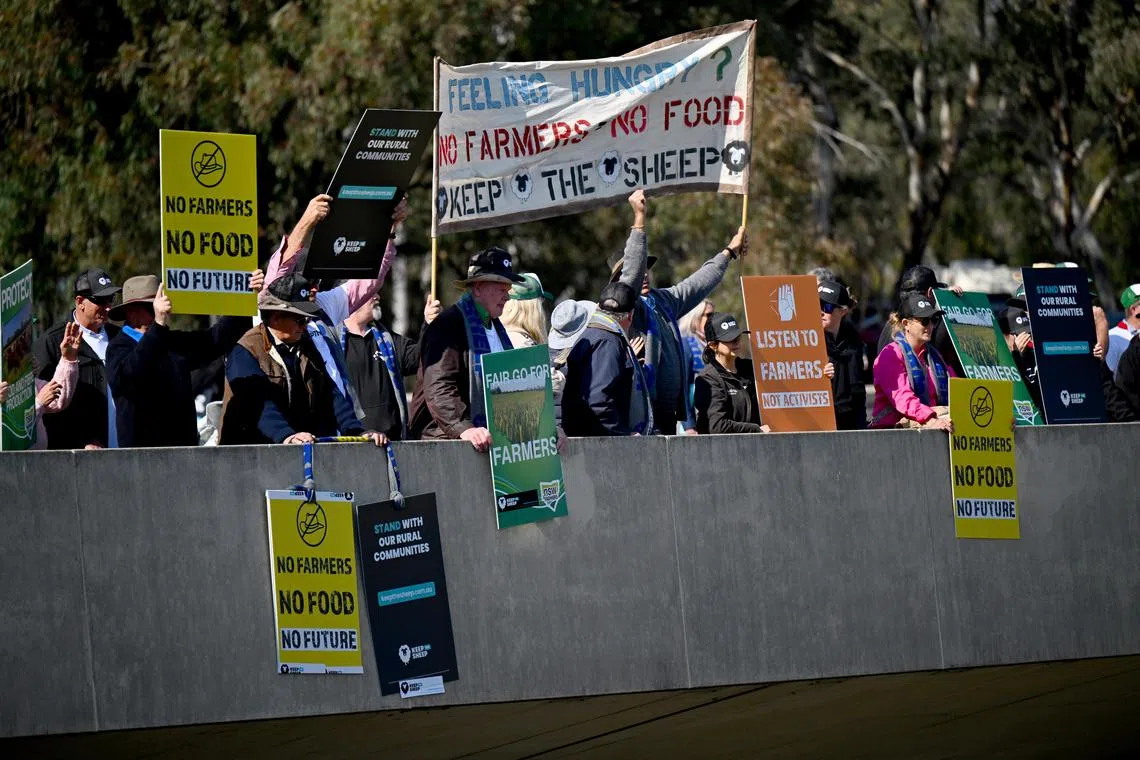 Australian farmers protest against animal, environment policies they ...