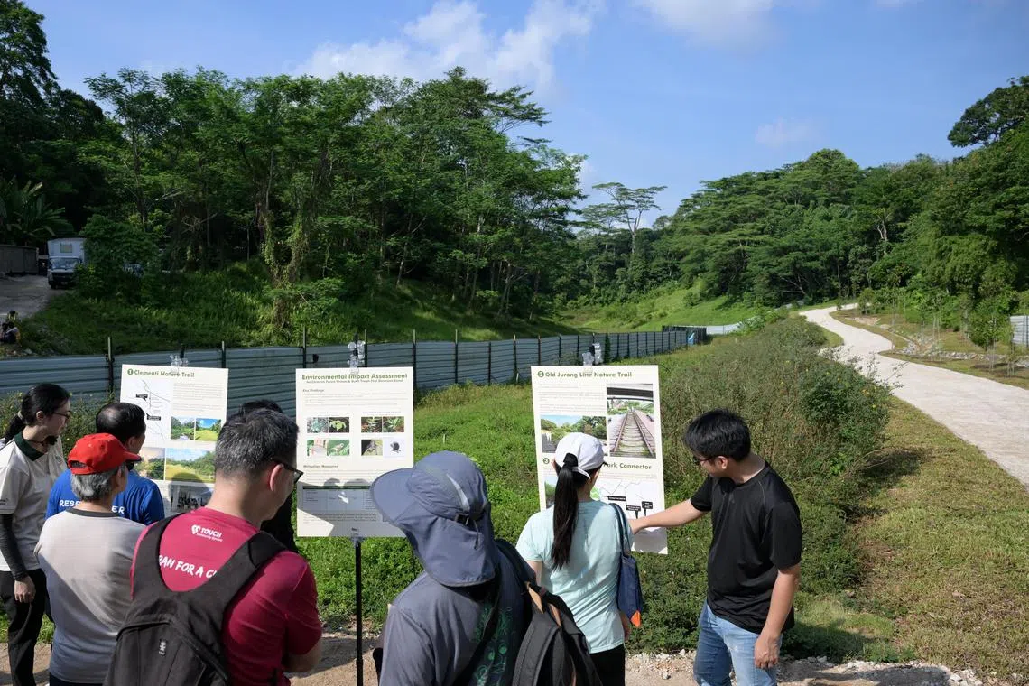 New Jurong Town Hall Park Connector to add 2km of green trails to ...