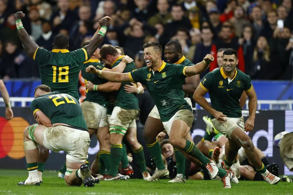 Springbok belief and physicality make for world beating mix | The ...
