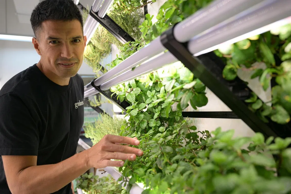 Starting a start-up: Pesto! How the sauce inspired ex-banker to grow ...