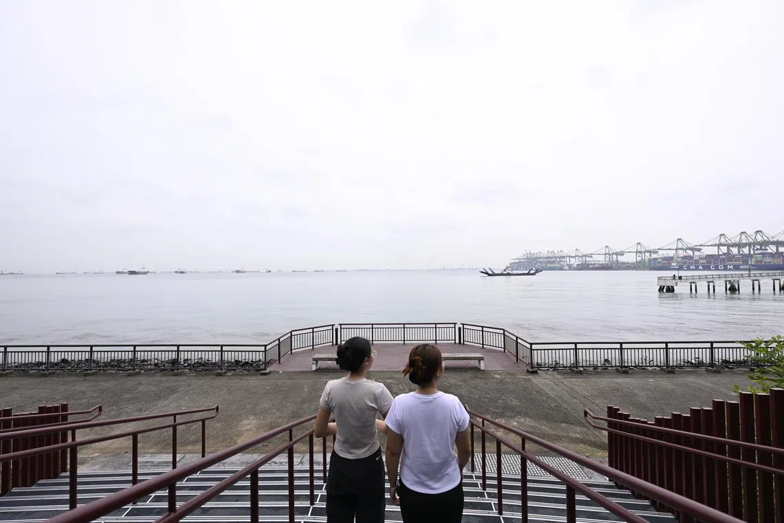 New trail passing through part of restored coastal forest opens in ...