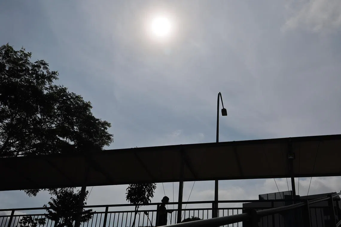 Expect drier weather and warm, humid nights in first half of June in ...