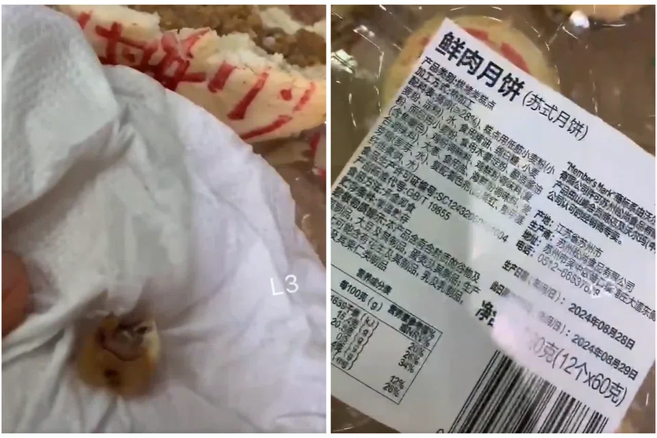 Human tooth found in meat-filled mooncake in China | The Straits Times