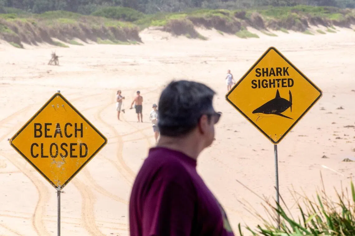 Sydney beaches close after 3 shark attacks | The Straits Times