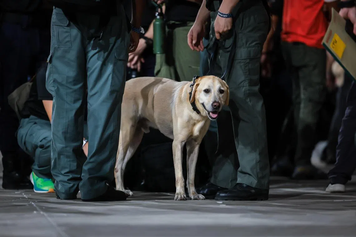 Pope Francis visit: Authorities work all night to secure National ...