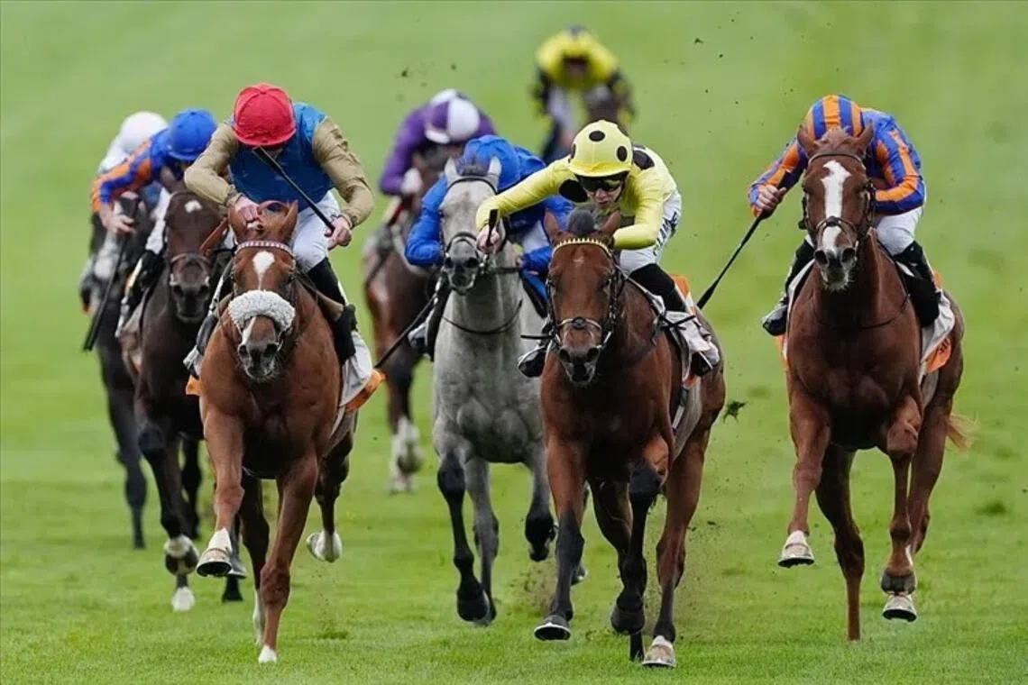 Bow Echo on radar in 2000 Guineas | The Straits Times