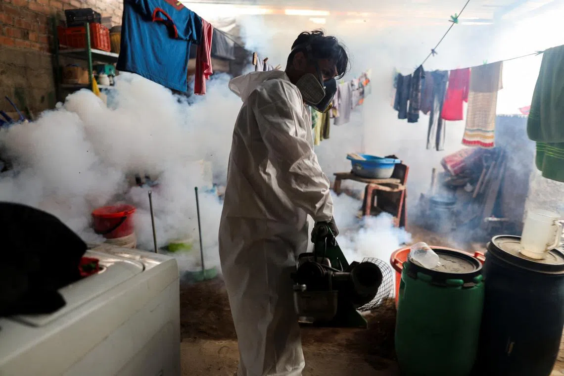 Peru's dengue deaths triple as climate change swells mosquito ...