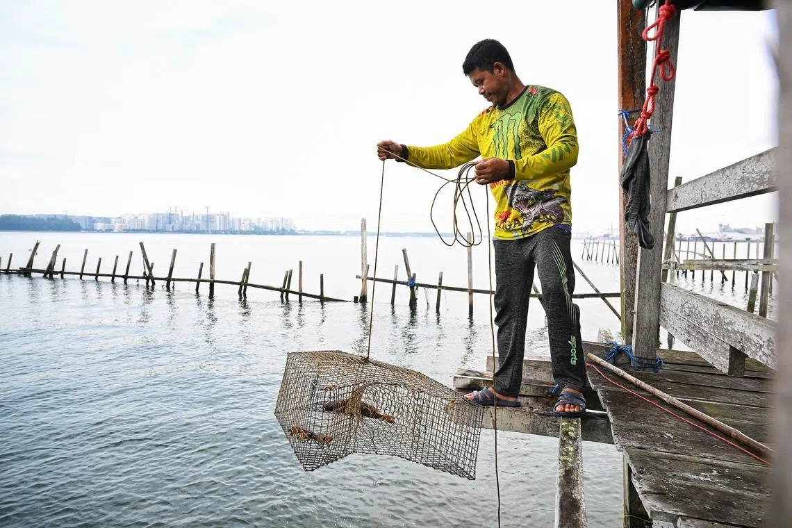 New centre to research better fish feed to help local farms increase ...
