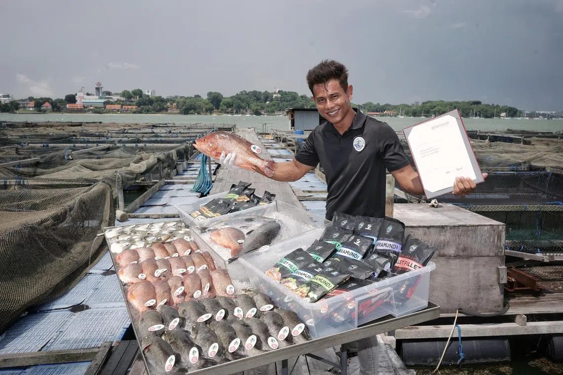 Myanmar-born fish farmer, 39, graduates with aquaculture polytechnic ...