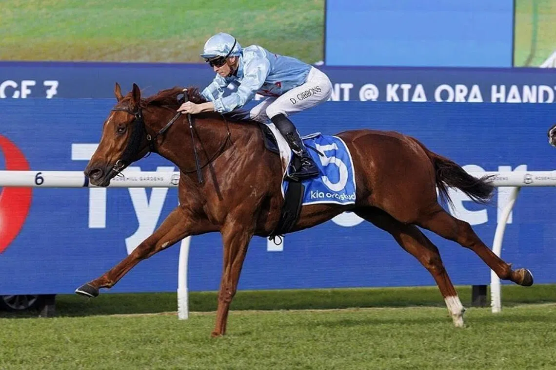 Snowden needs stroke of luck in Stradbroke | The Straits Times