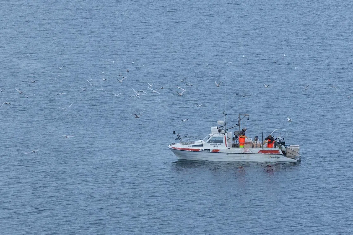 Freezers full of seal meat: How Greenland’s hunting culture helps ...