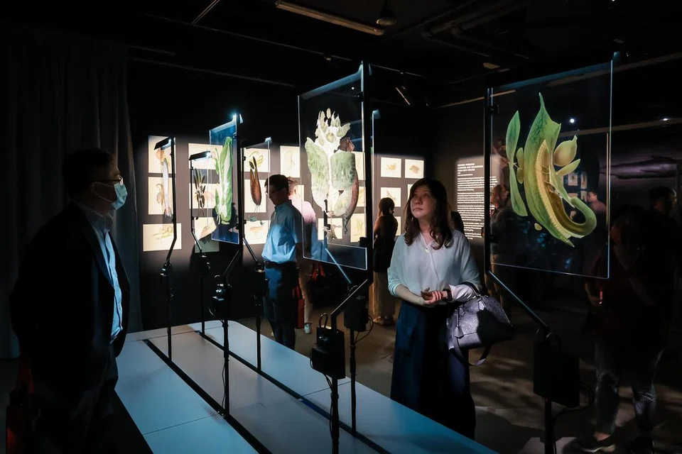 New exhibition at Lee Kong Chian Natural History Museum takes creative ...