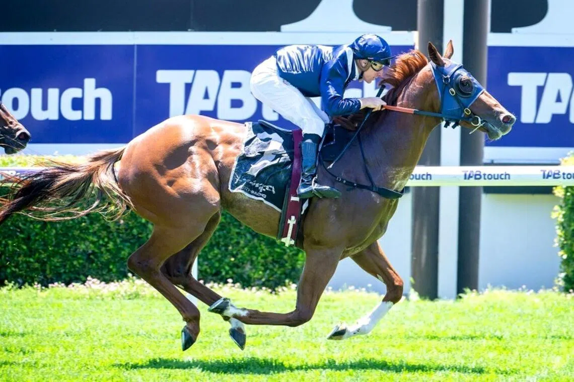 Another win for Western Ace on the cards in soft 3YO race | The Straits ...