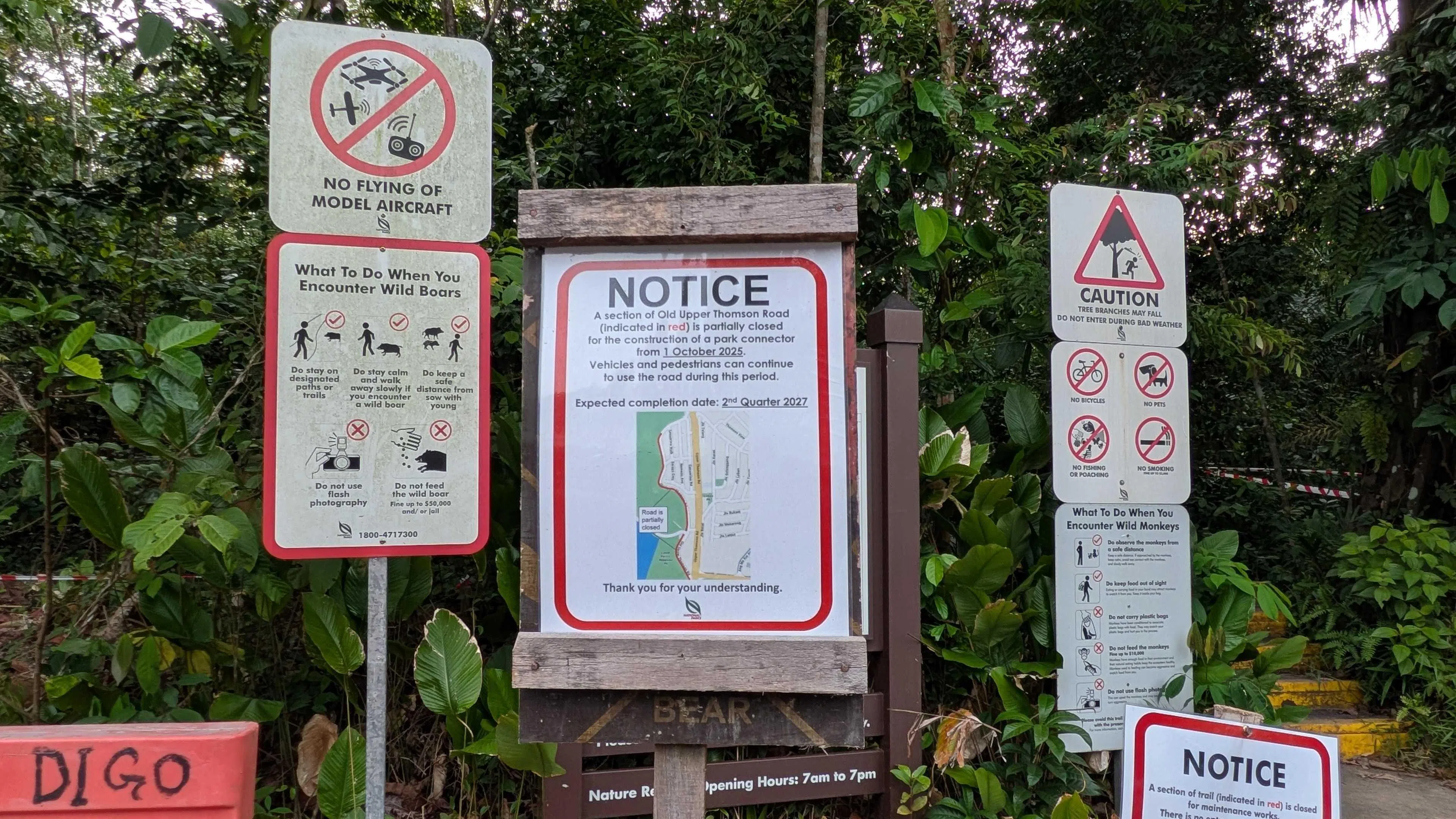 Unauthorised clearance of trees in nature reserve planted under ...