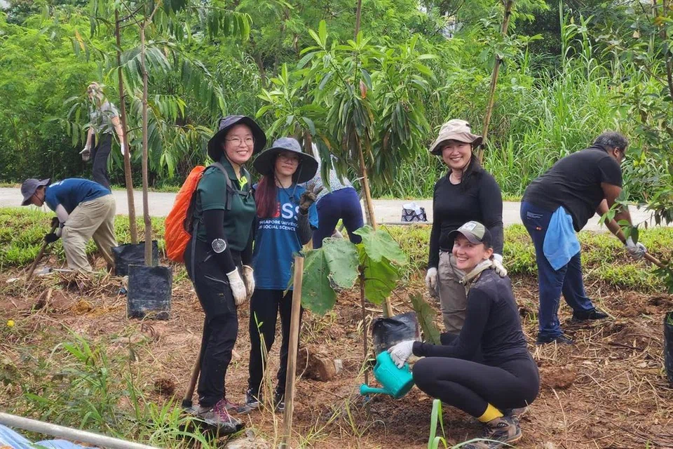 Community volunteers help weed and plant to rewild parts of Rail ...