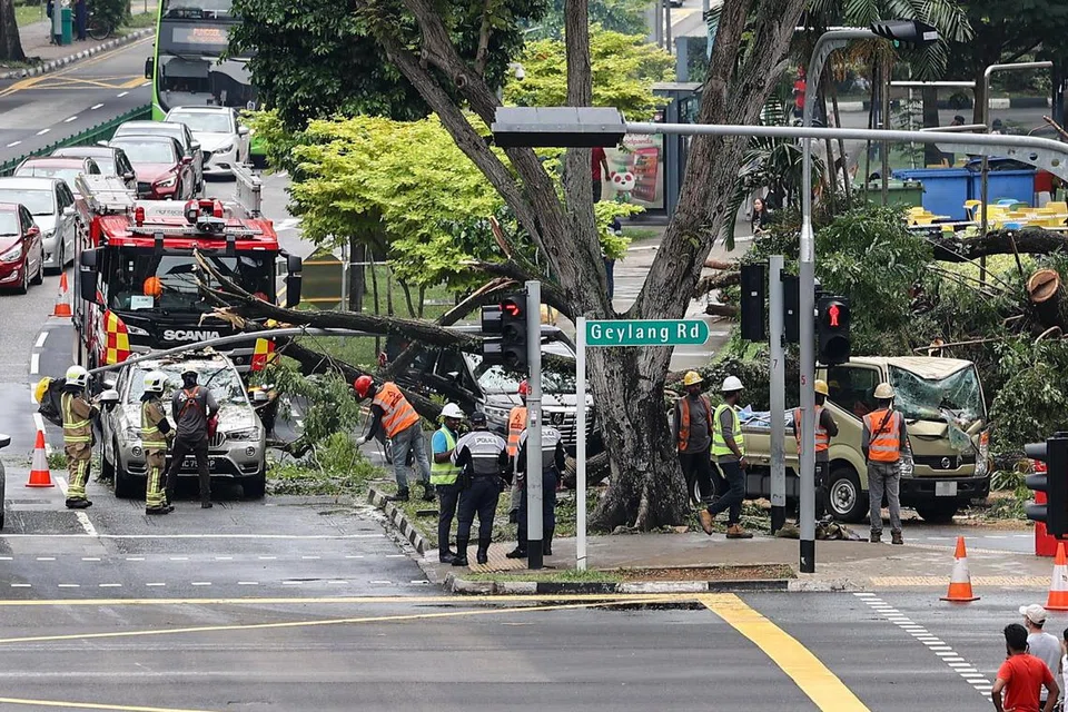 Passers-by help people trapped after tree falls on vehicles in Tanjong ...