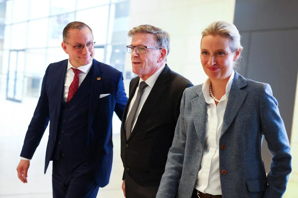 Germany’s far-right AfD tops poll for first time in blow to chancellor ...