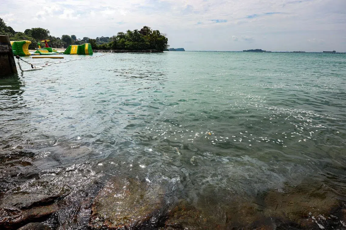 NEA advises public against swimming near several beaches after Shell’s ...