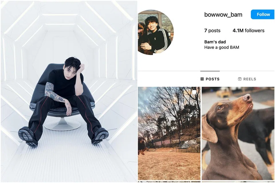 BTS’ Jungkook creates Instagram account for pet dog Bam, hits 4 million ...