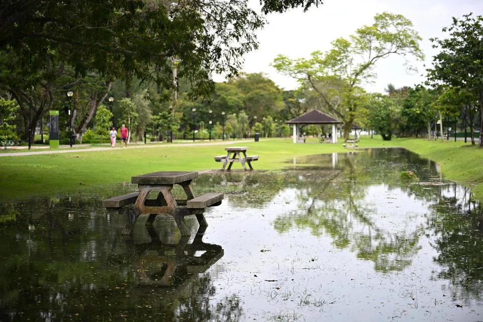 Seasonal high tides flood Pulau Ubin, stretches along East Coast Park ...