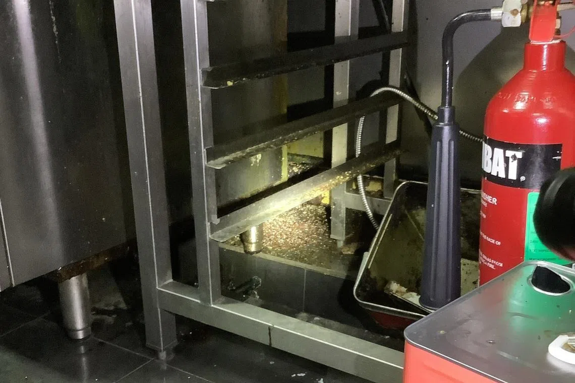 Food caterer fined $6,000 for hygiene lapses after 92 suffer food ...