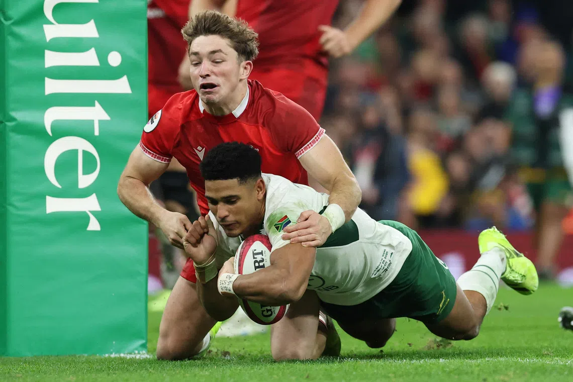 Springboks score 11 tries in record 73-0 win over hapless Wales | The ...