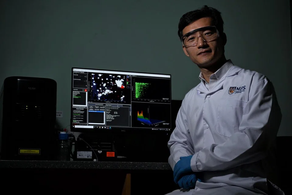 New study shows effectiveness of nanoparticles in diagnosing, treating ...