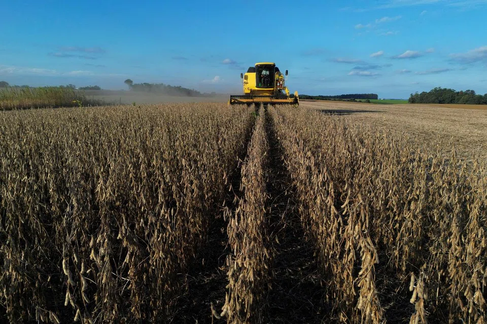 China retaliation on US farm goods hits soya beans, bolstering Brazil ...