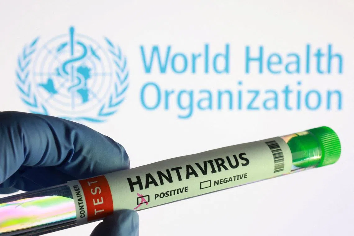 Experts race to write guidance to contain first ship-borne hantavirus ...