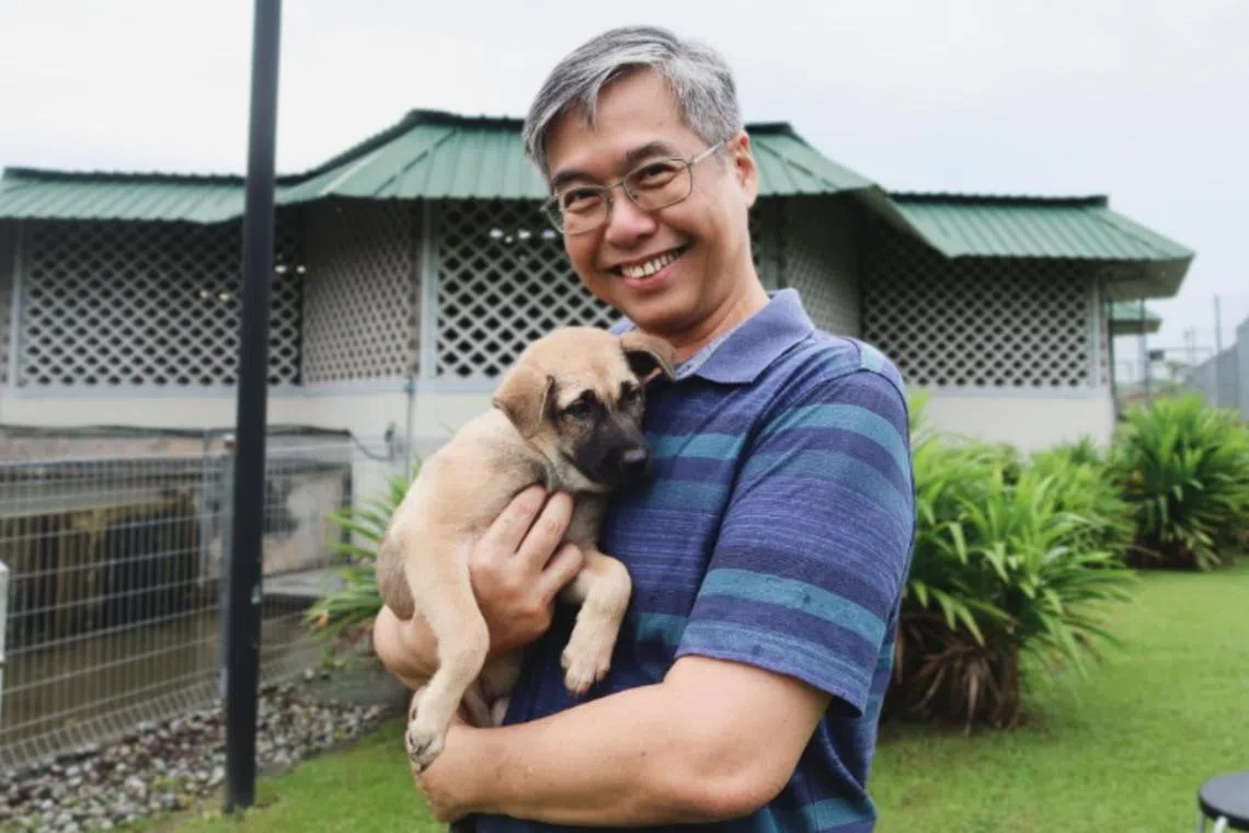 SPCA appoints Walter Leong as new executive director | The Straits Times