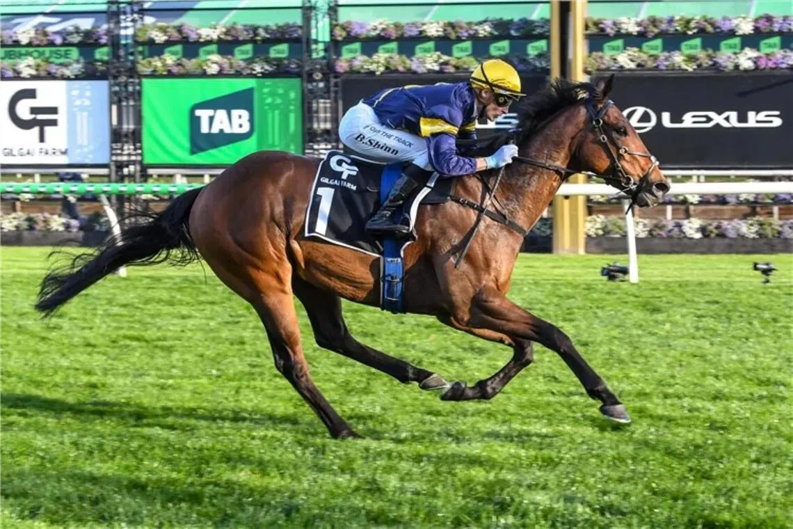 War Machine well oiled for Group 2 Australia Stakes | The Straits Times