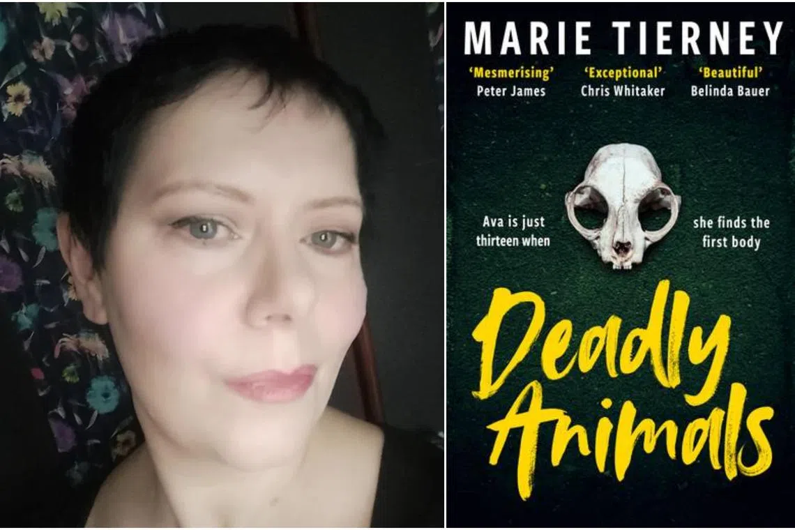 Book review: Marie Tierney explores darkness and human monstrosity in ...