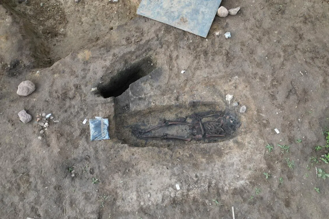 Danish archaeologists unearth 50 Viking skeletons | The Straits Times