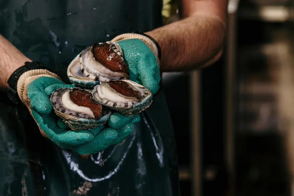 Next stop, Australia: The Great Ocean Road abalone adventure | The ...