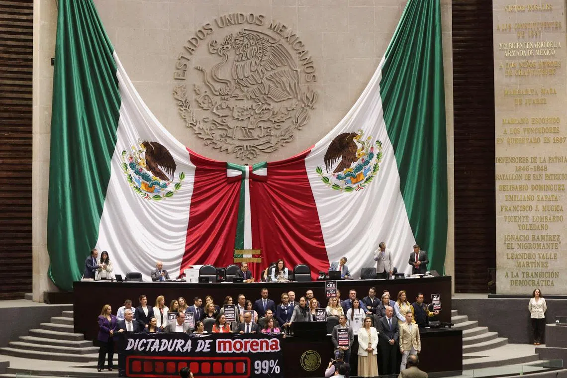 Mexico's lower house votes to abolish autonomous bodies | The Straits Times