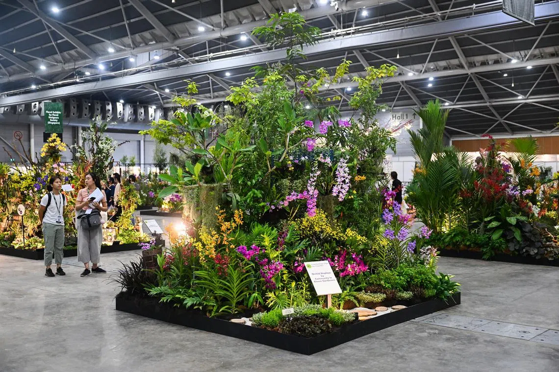 Blooms grown in community gardens make an appearance at Singapore ...