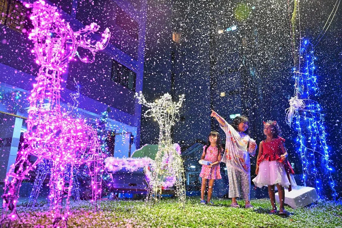 Today in Pictures, Dec 26, 2023 | The Straits Times