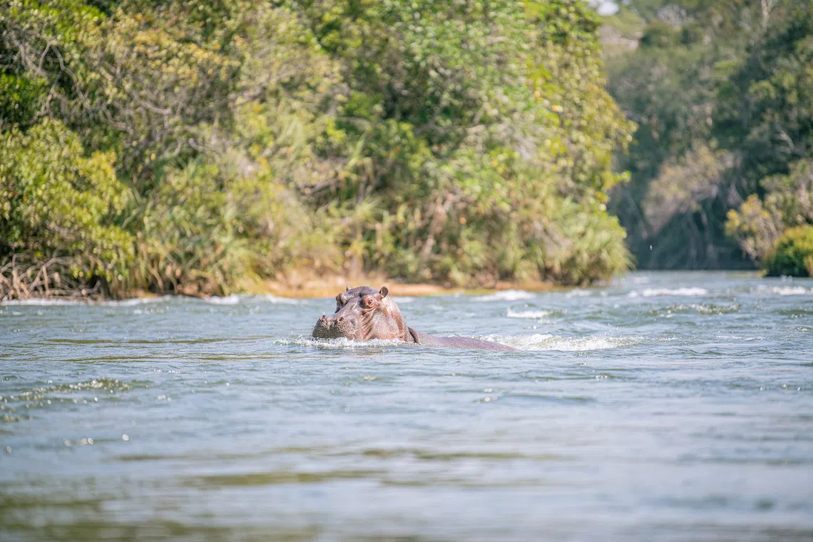 From rough rapids to wild animals: Inside an explorer’s dangerous ...
