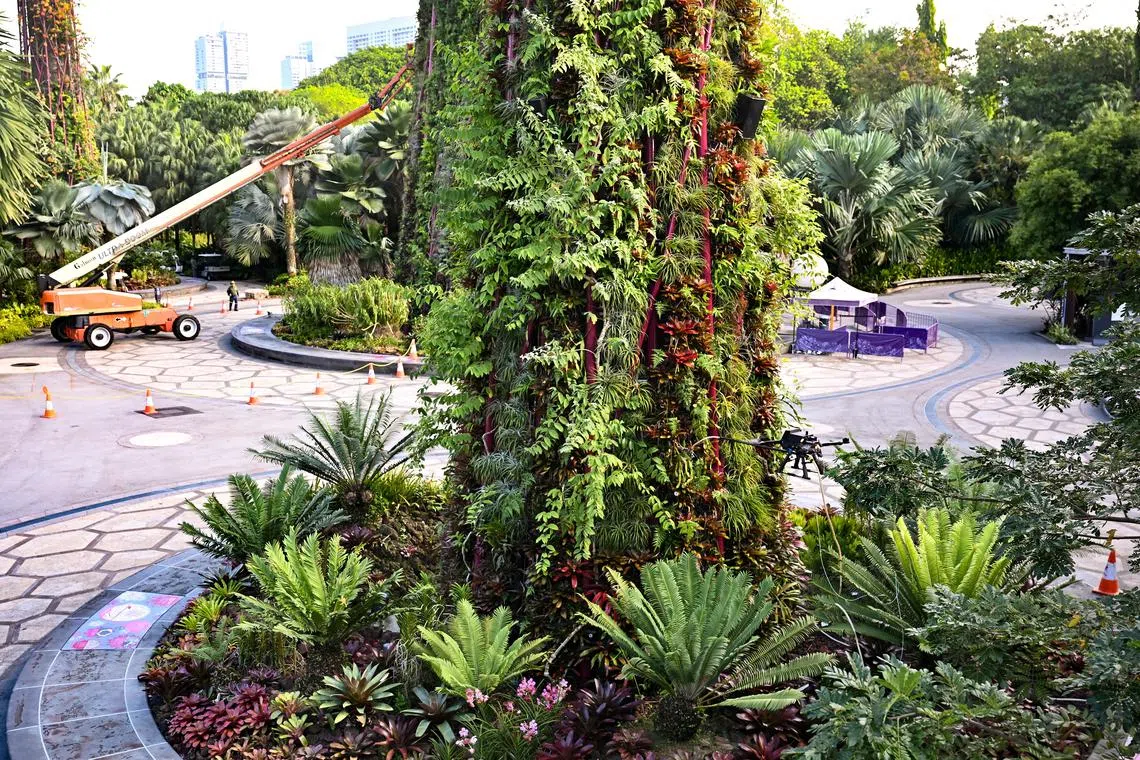 Drones clean the Supertrees, water and fertilise plants at Gardens by ...